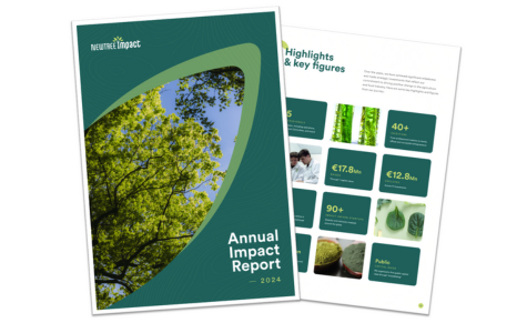 Rapport d'impact de NEWTREE IMPACT ! 🍃 - ECCO NOVA | ECCO NOVA