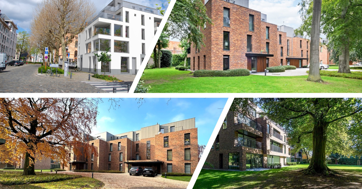 SHAPE : INTERVIEW DES PORTEURS DE PROJETS 🎙️ - ECCO NOVA | ECCO NOVA